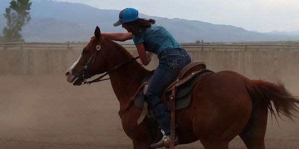 Giddy Up Horse Insurance - Horse Insurance, Ranch Insurance