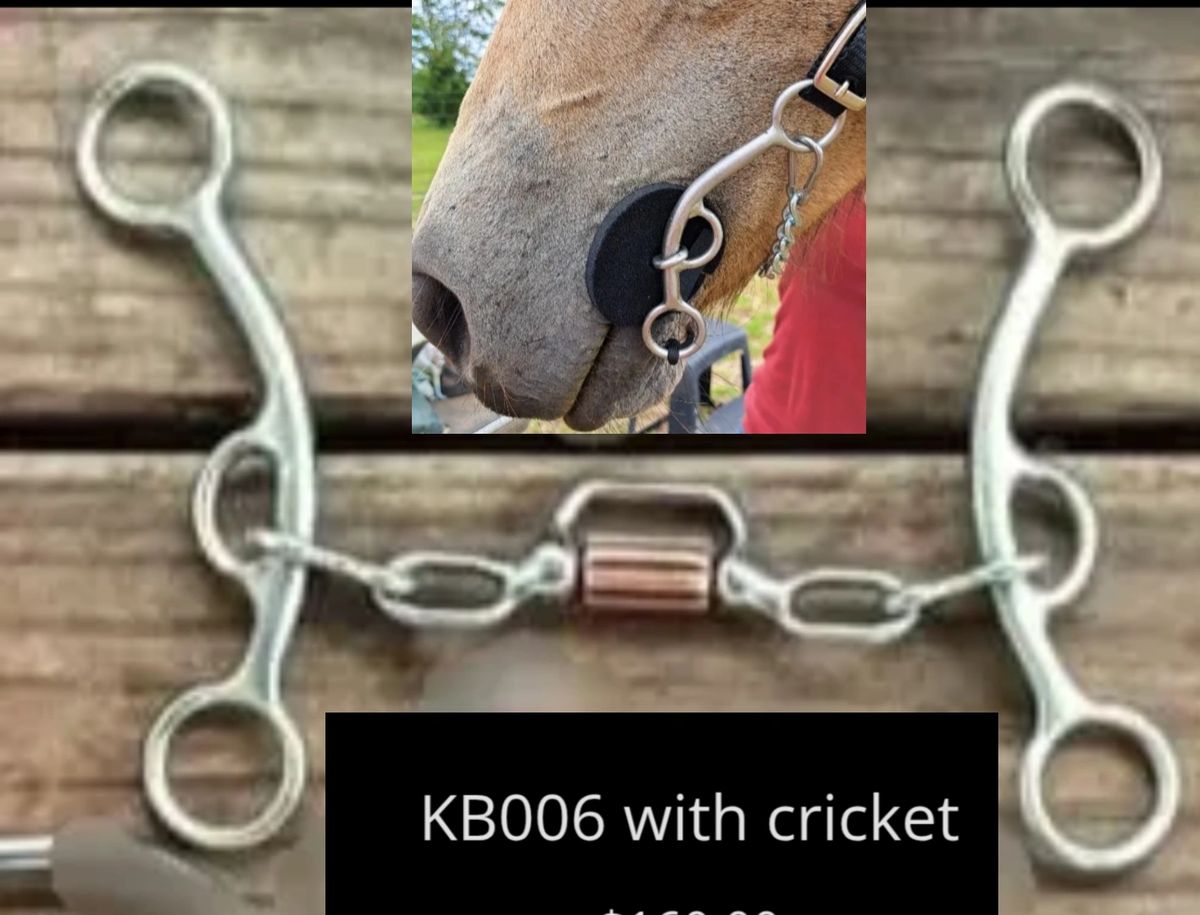 KB006 with cricket