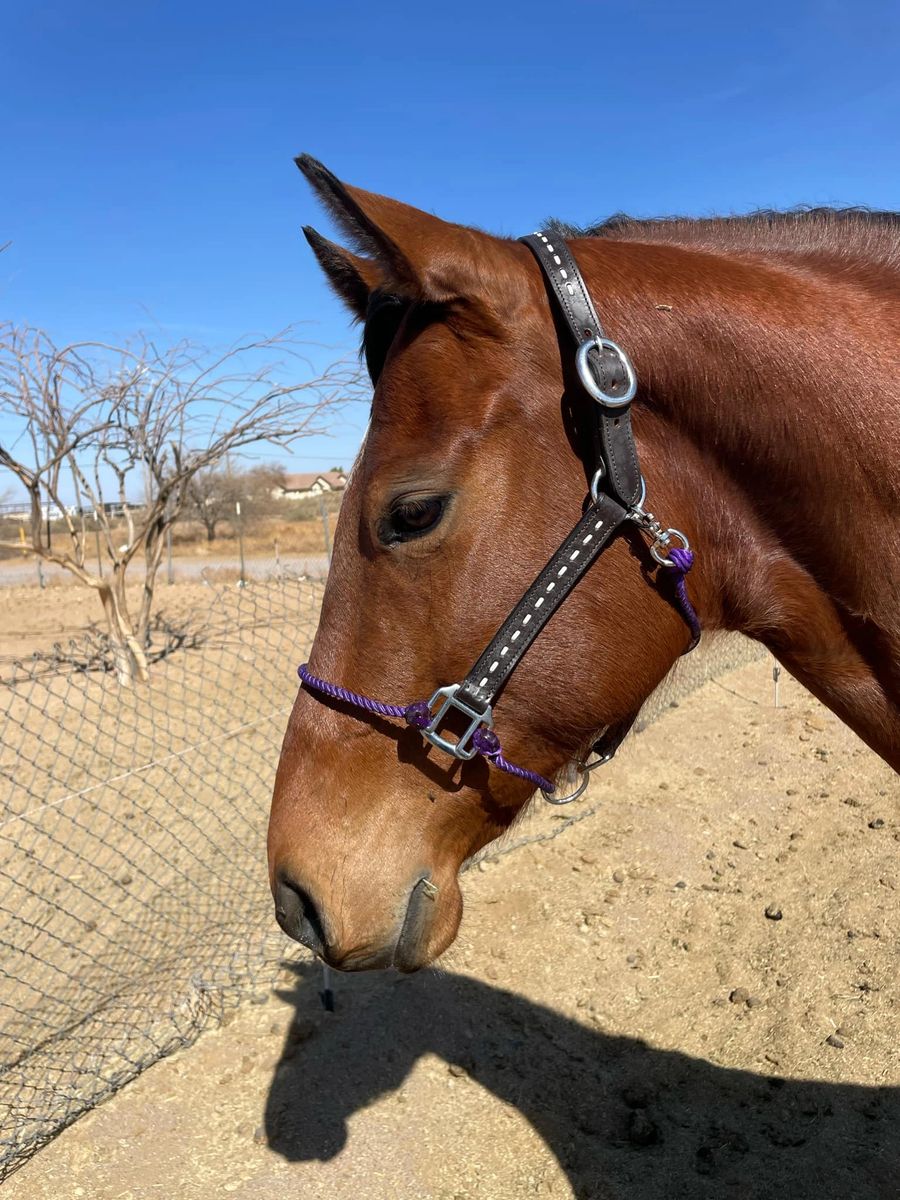 Black with white and softer rope