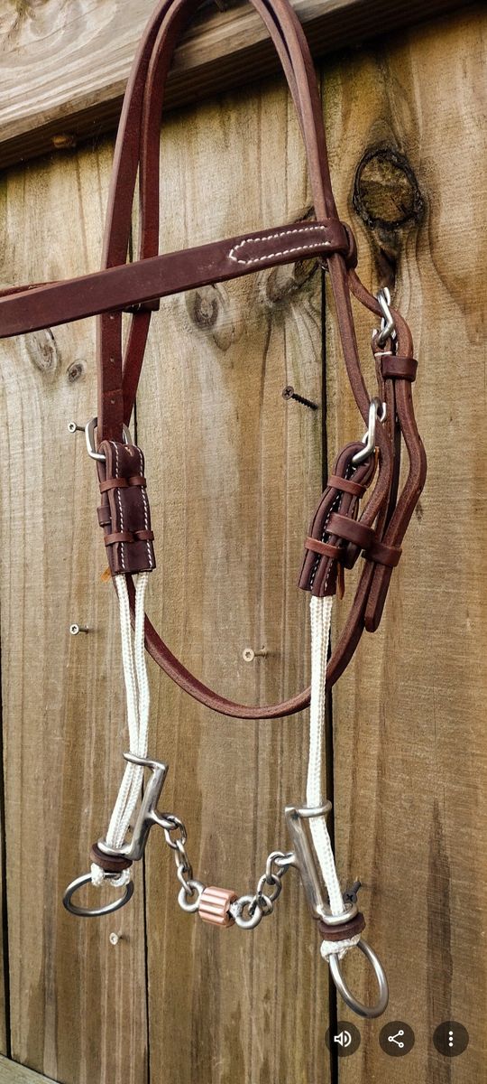 Chain gag with cricket