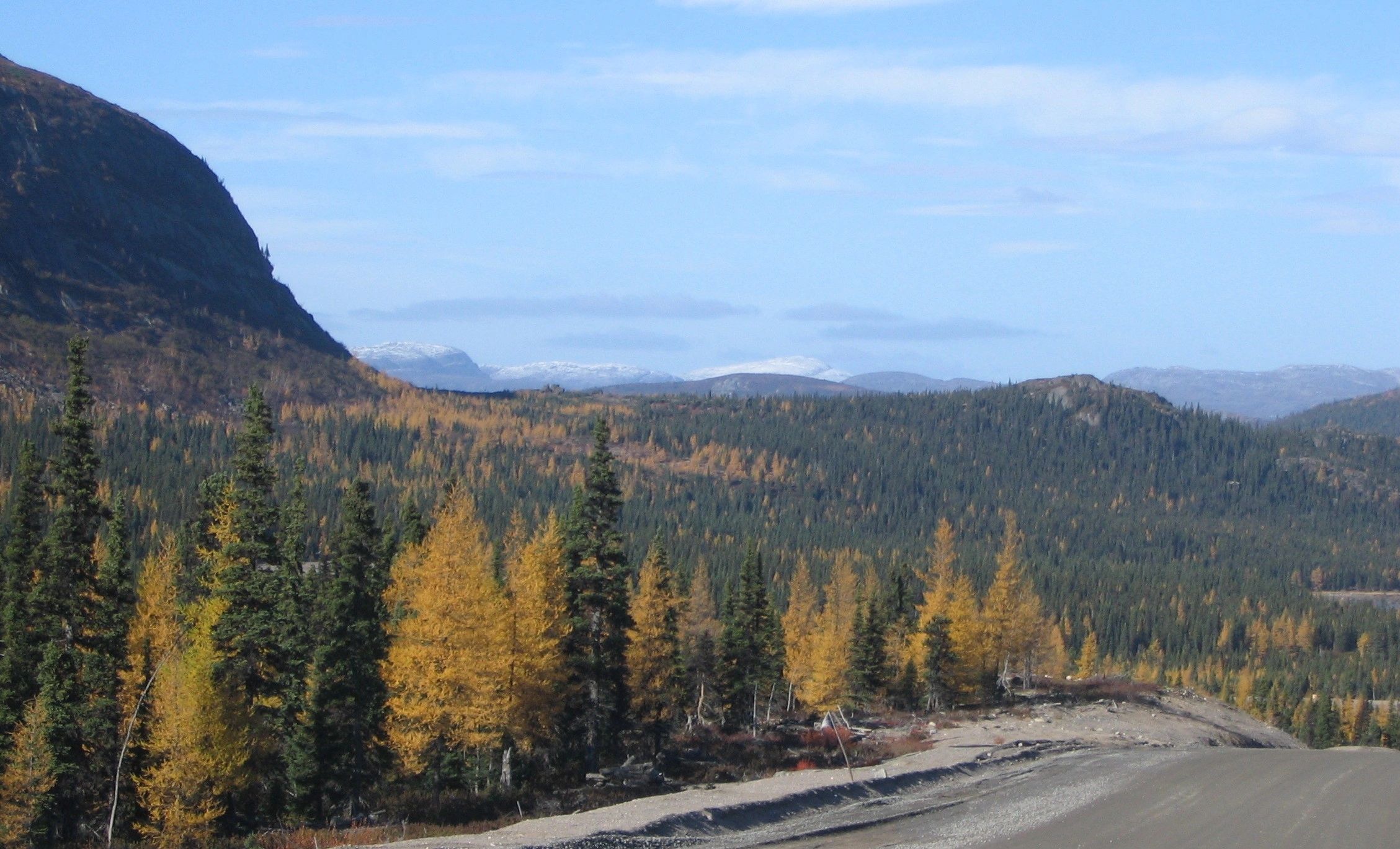 Valley Environmental Services