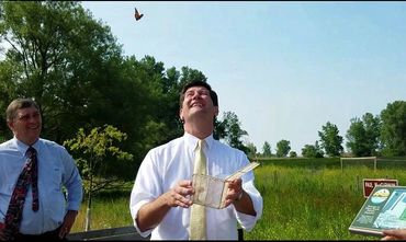 Eastern Monarch Butterfly Farm - Milkweed, Monarch Butterflies ...