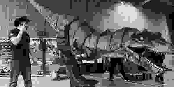 Dinomania - Events, Events, Shows