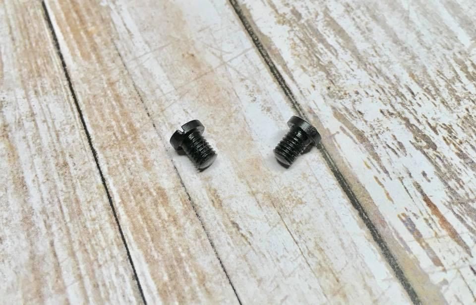 Savage 99 tang sight screw set
