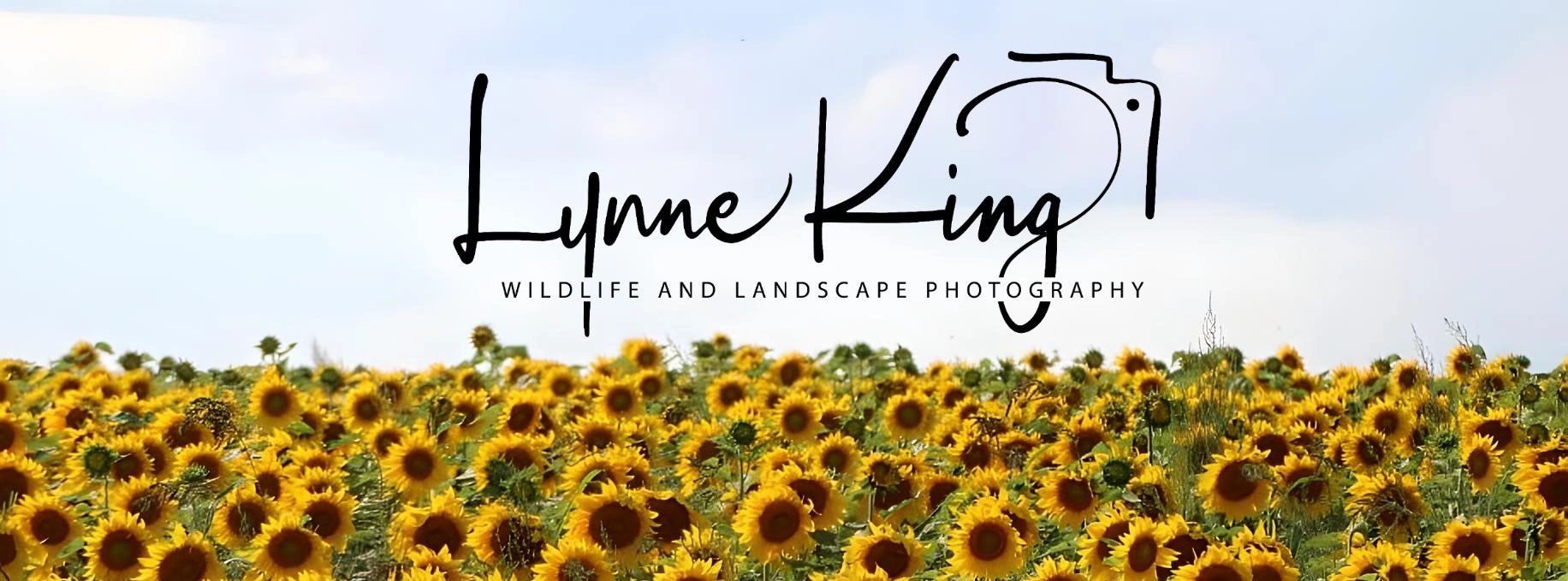 Wildlife and Animals | Lynne King Nature and Wildlife Photography