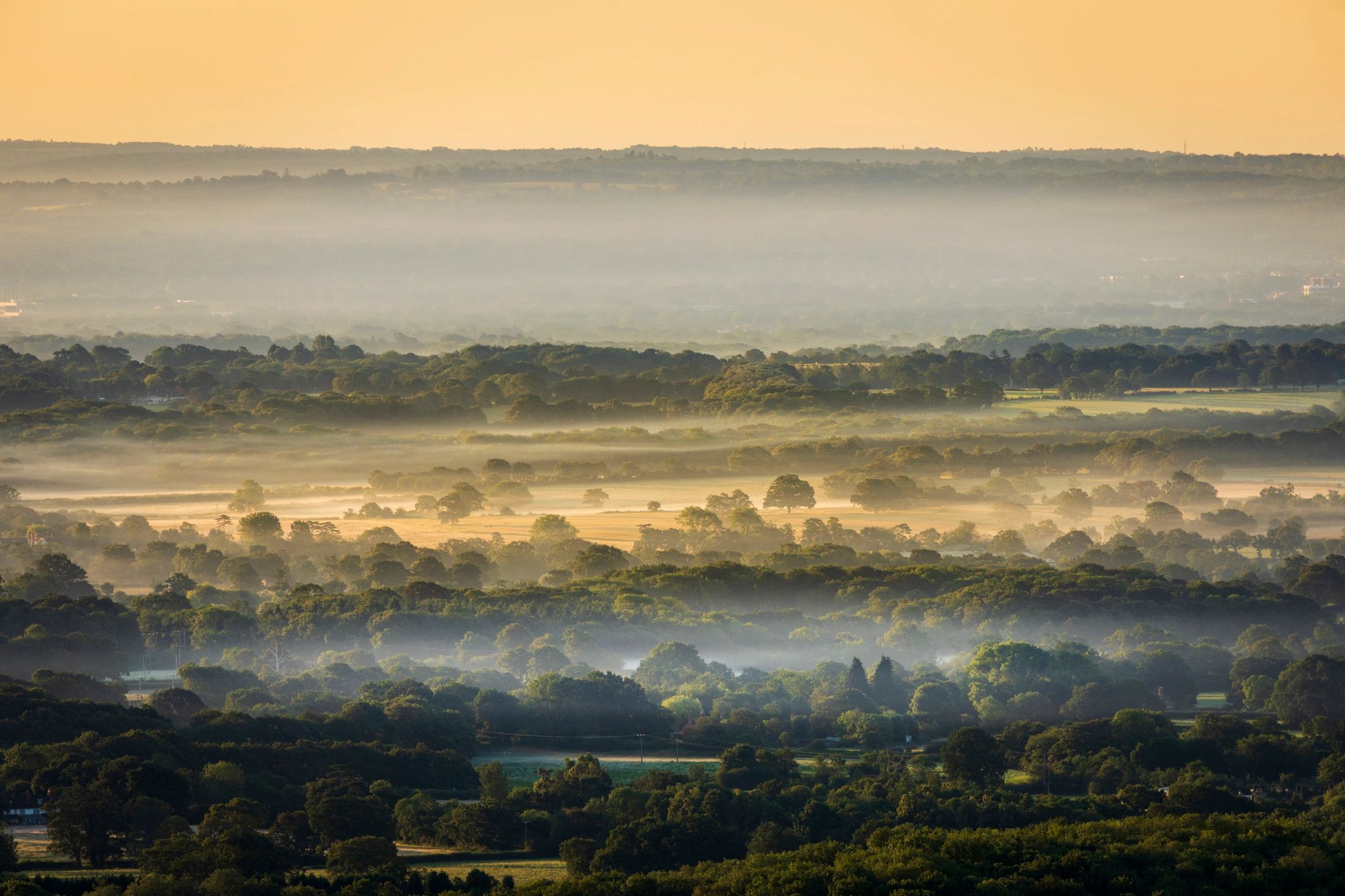 The Old Bank - Shere