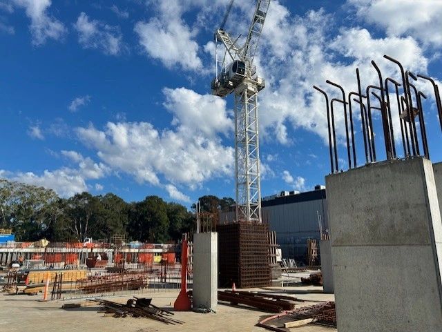 Bonobo Project Basement Construction