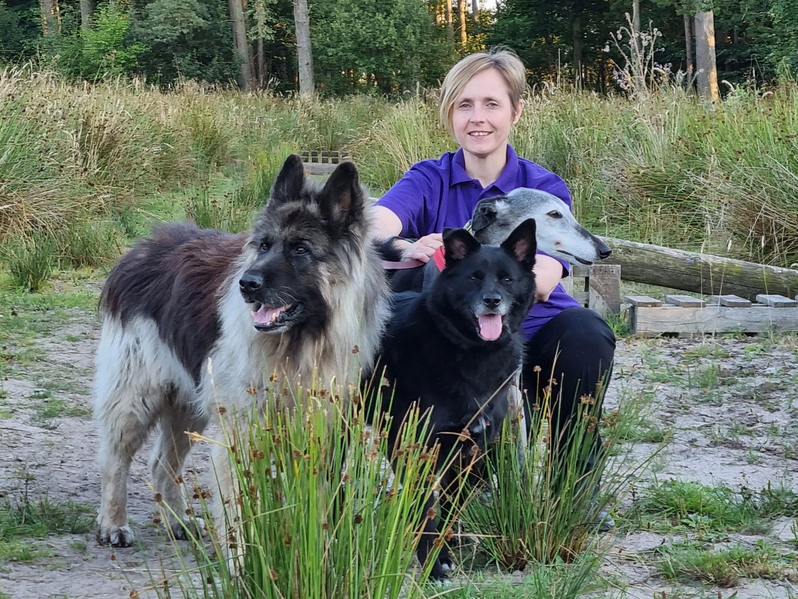 Waggy Trails Dog Walking Services