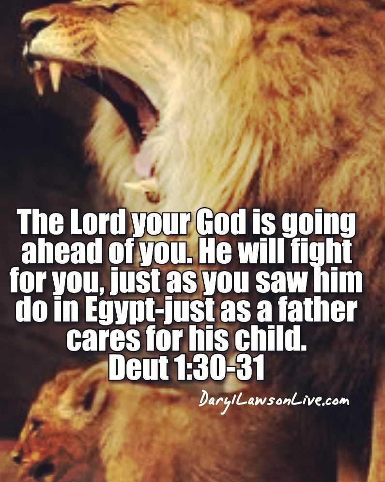 Jesus Christ Fights for You