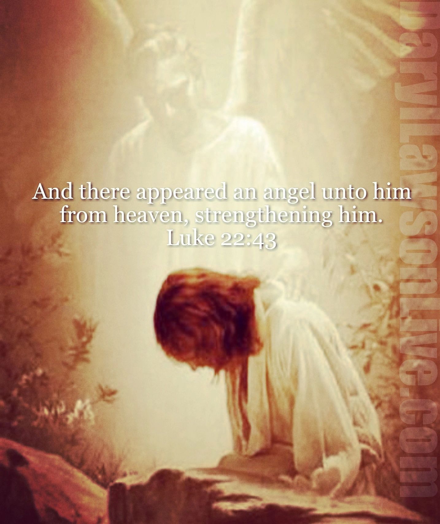 Angel on Assignment: by Prayer