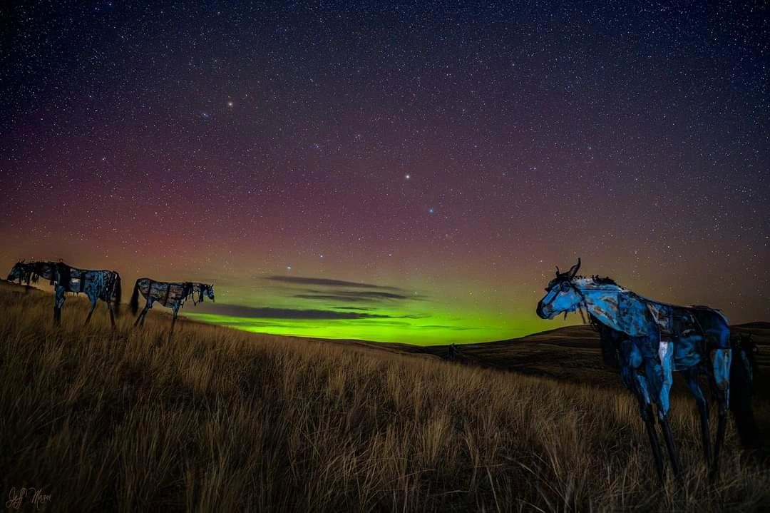 Morrison Law, PLLC - Attorney, Cannabis Law, A Construction-Real ...