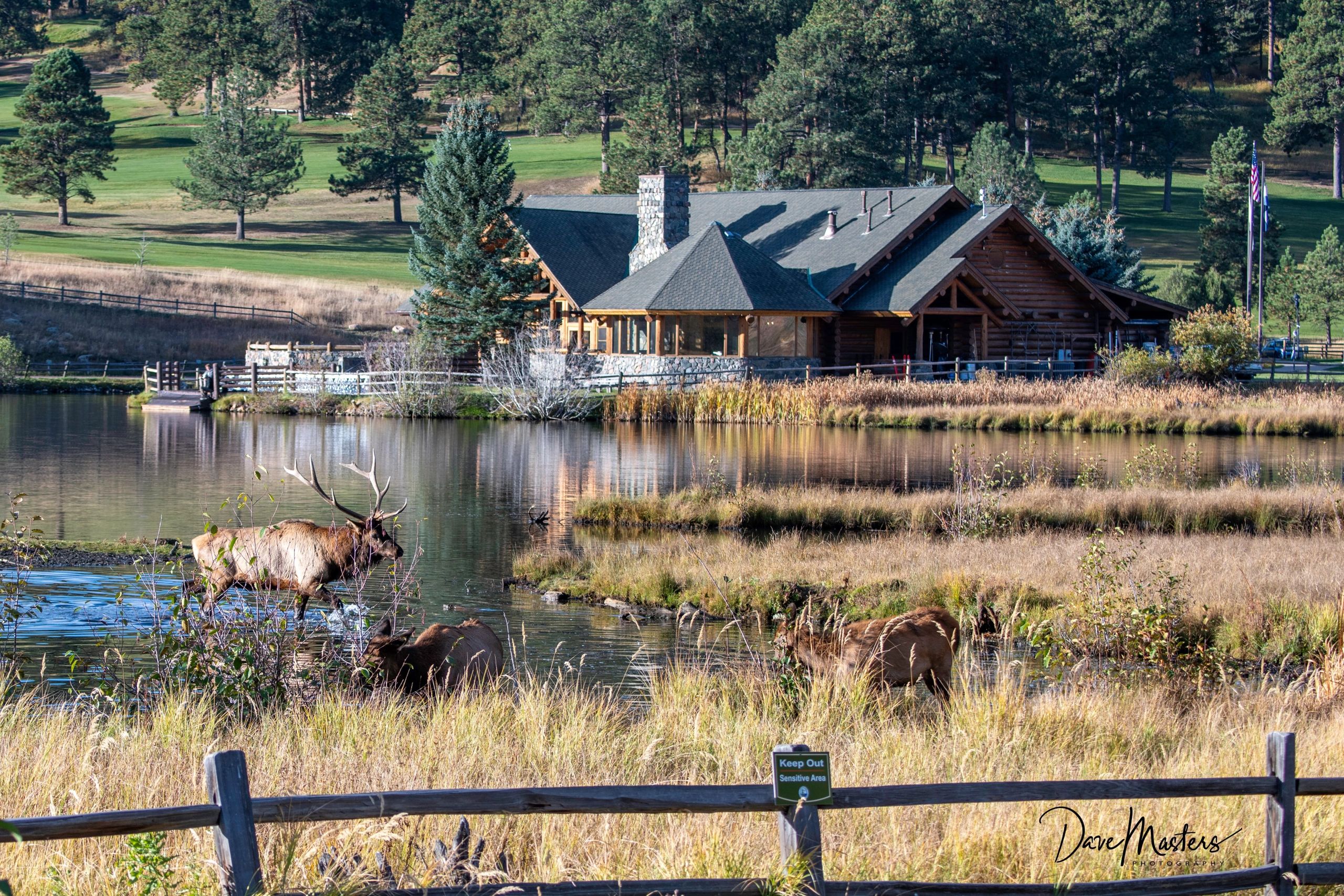 Evergreen Colorado Local Lifestyle Blog