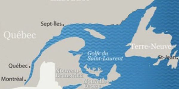 Transport Nord Express