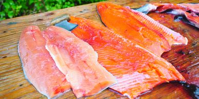 Saltwater Fish Excursion | Alaskan Anglers Adventure