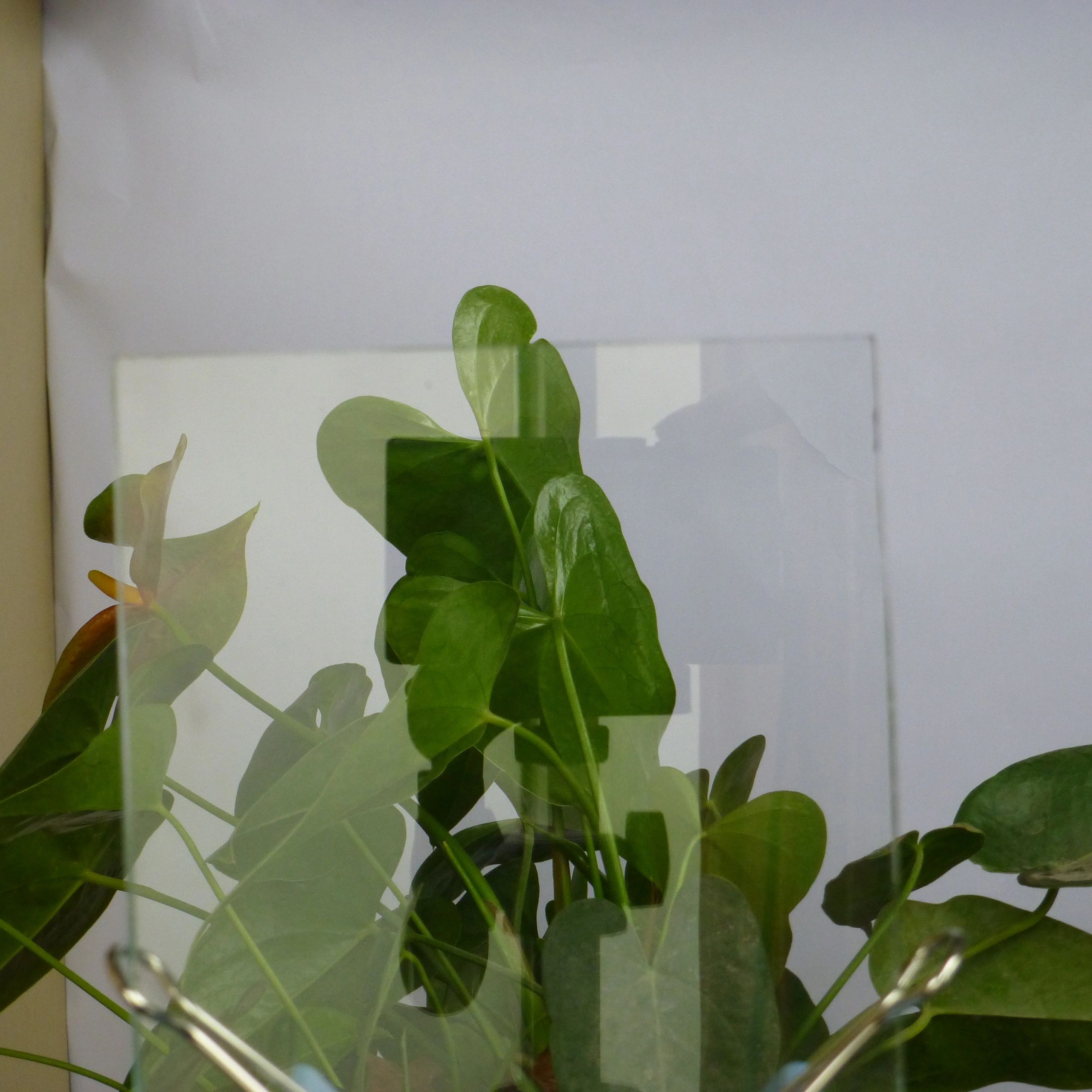 Navigating Inflation: The Rise in Costs and the Everlasting Value