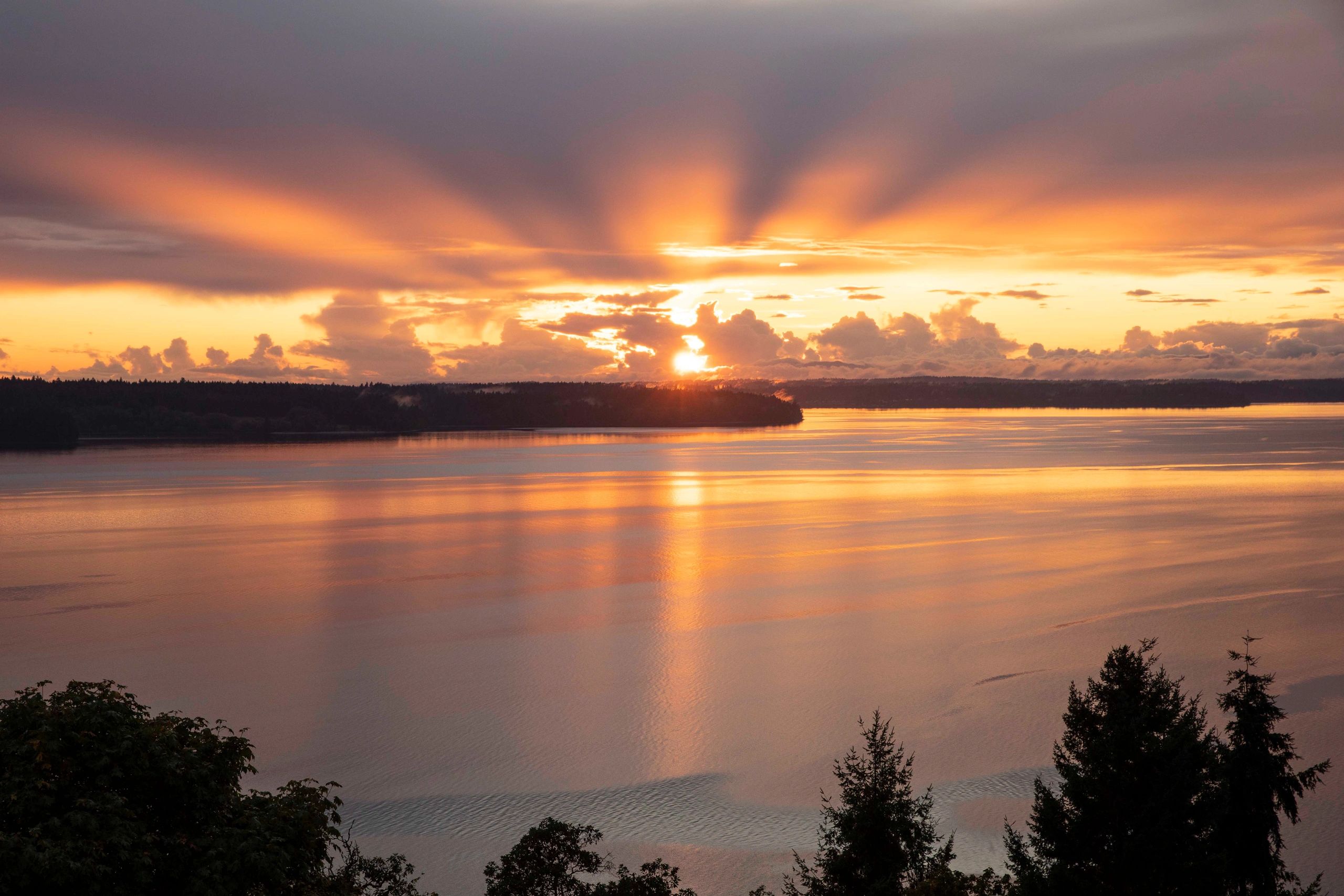 180º Puget Sound View