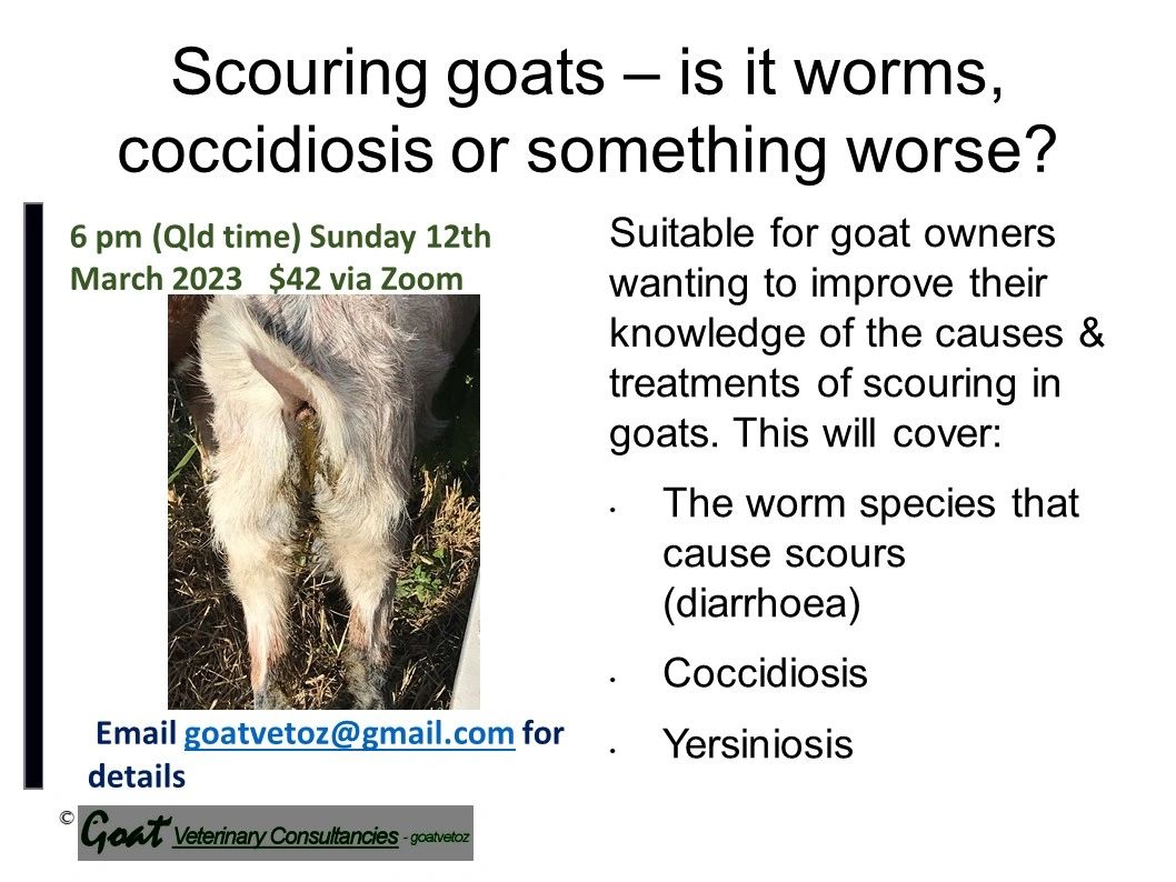 Zoom course on scouring in goats