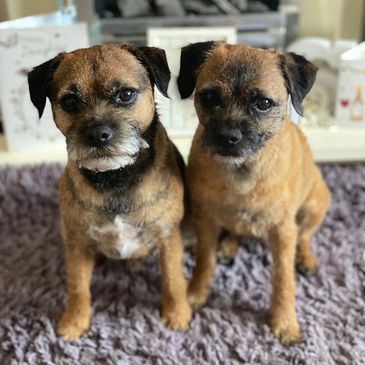 STAFF | Dryfe Vets Ltd