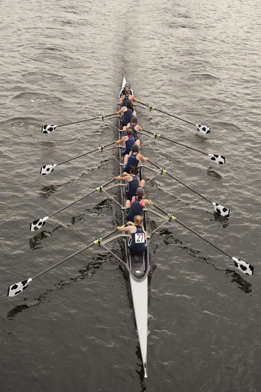 College Rowing Teams