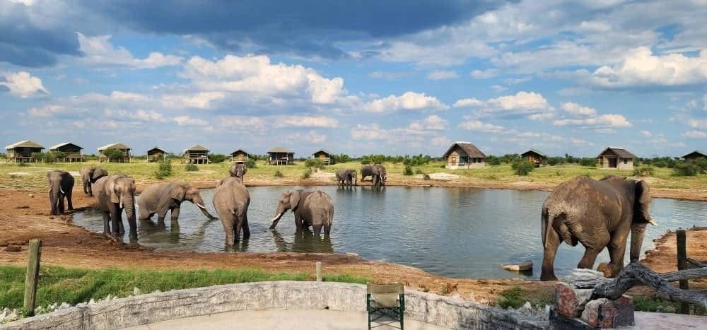 Elephant Sands Lodge | Botswana’s Iconic Wildlife Stay