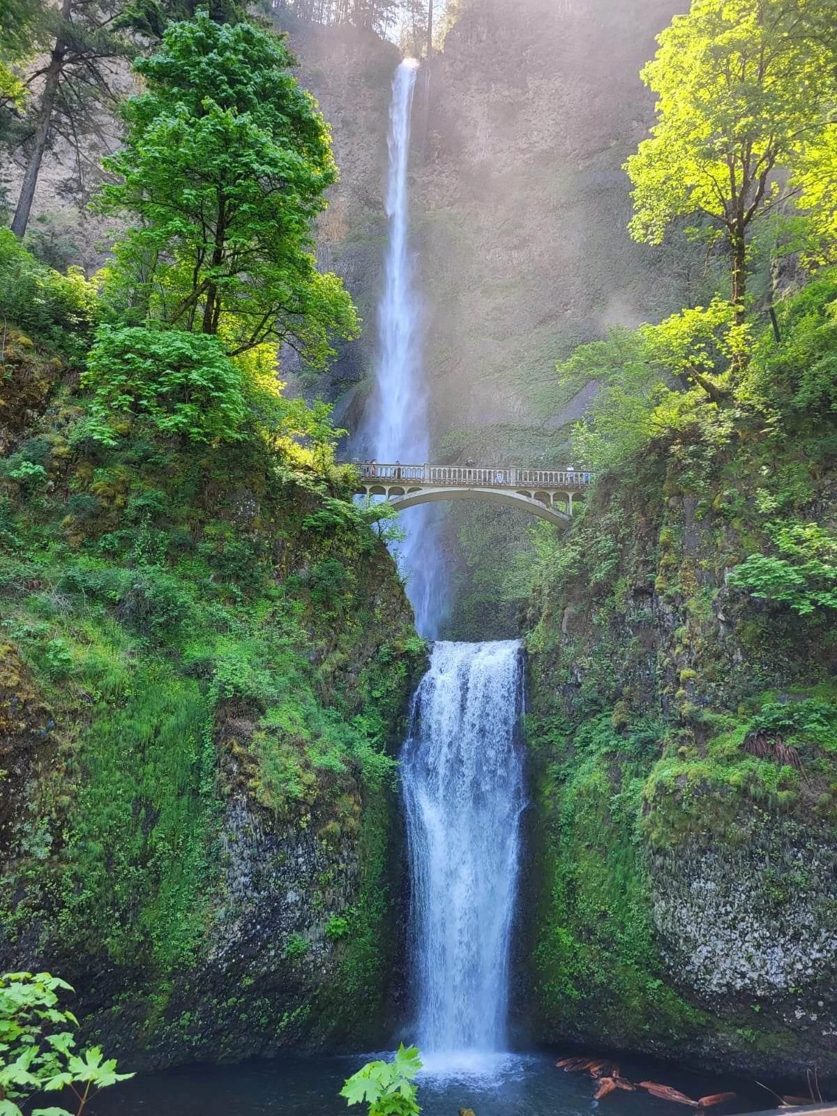 Portland Sightseeing Tours - Peak Tours and Transit