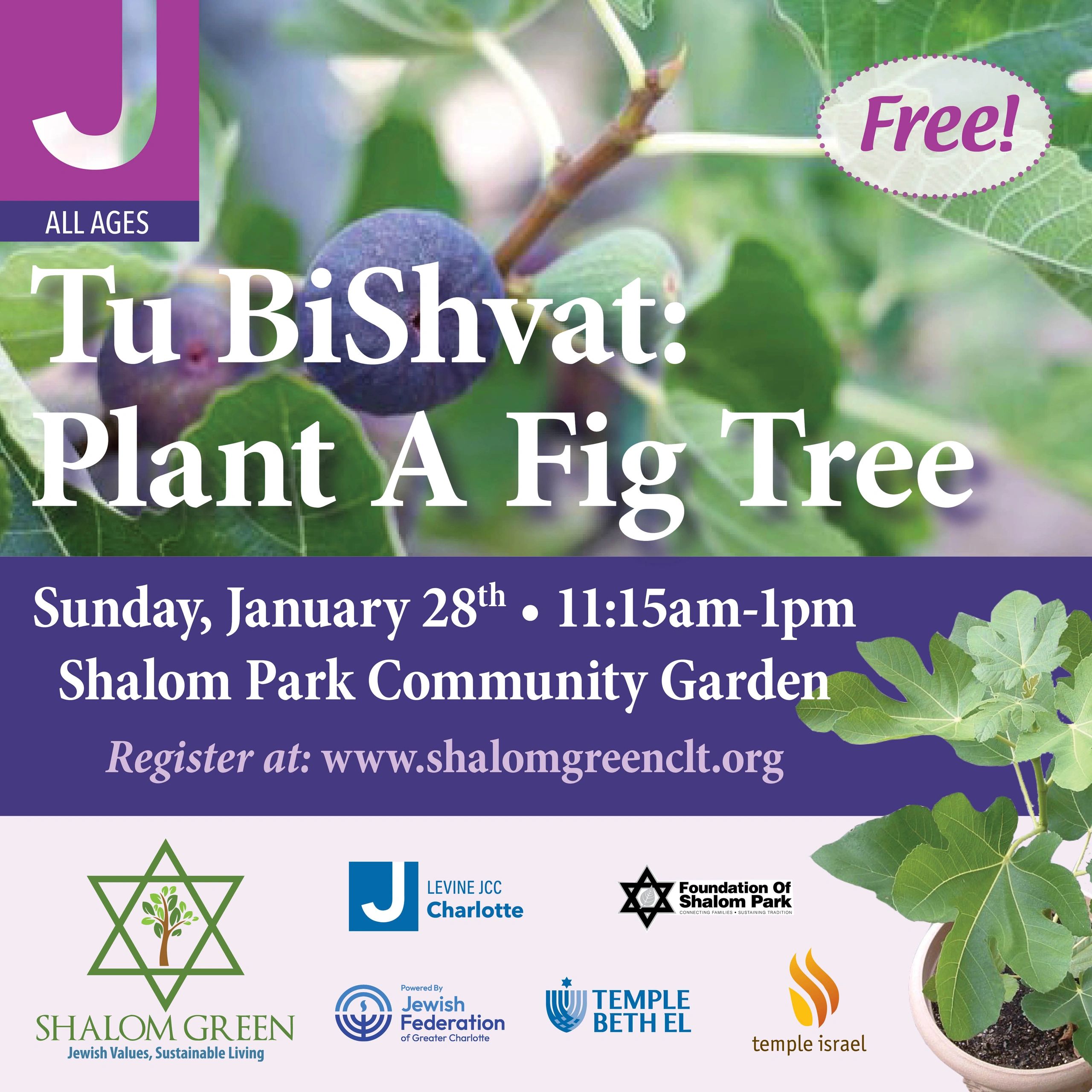 Tu BiShvat: Plant a Fig Tree