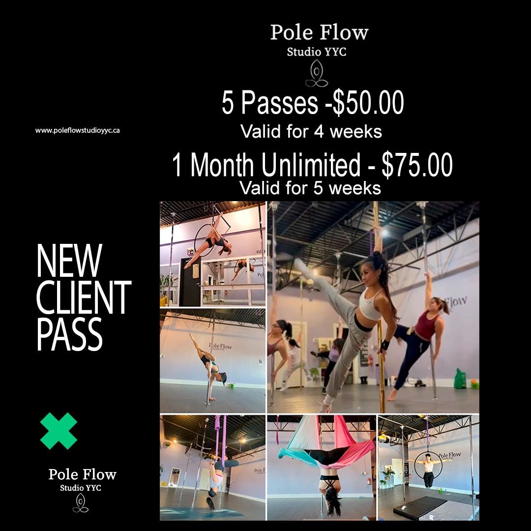 Class Descriptions | Pole Flow Studio YYC