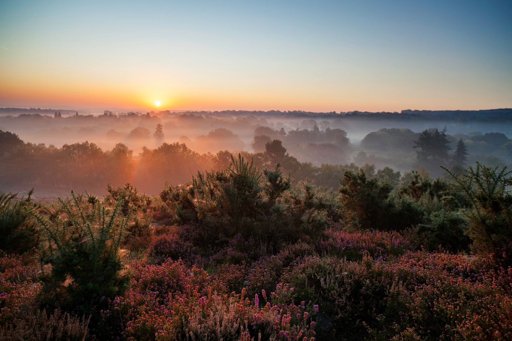 Explore the Surrey Hills with Guided Walking Tours