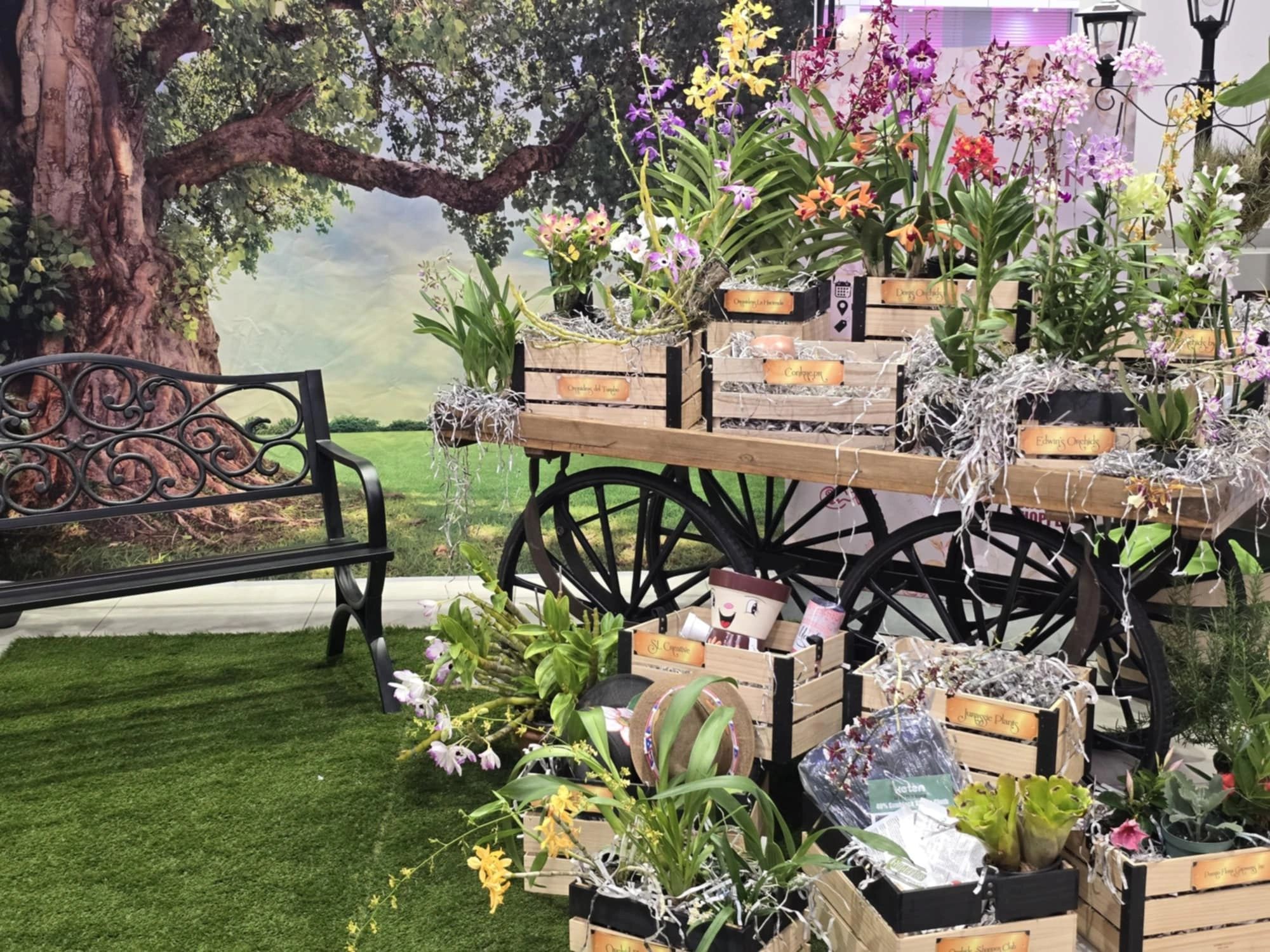 Orchids Shopper Club