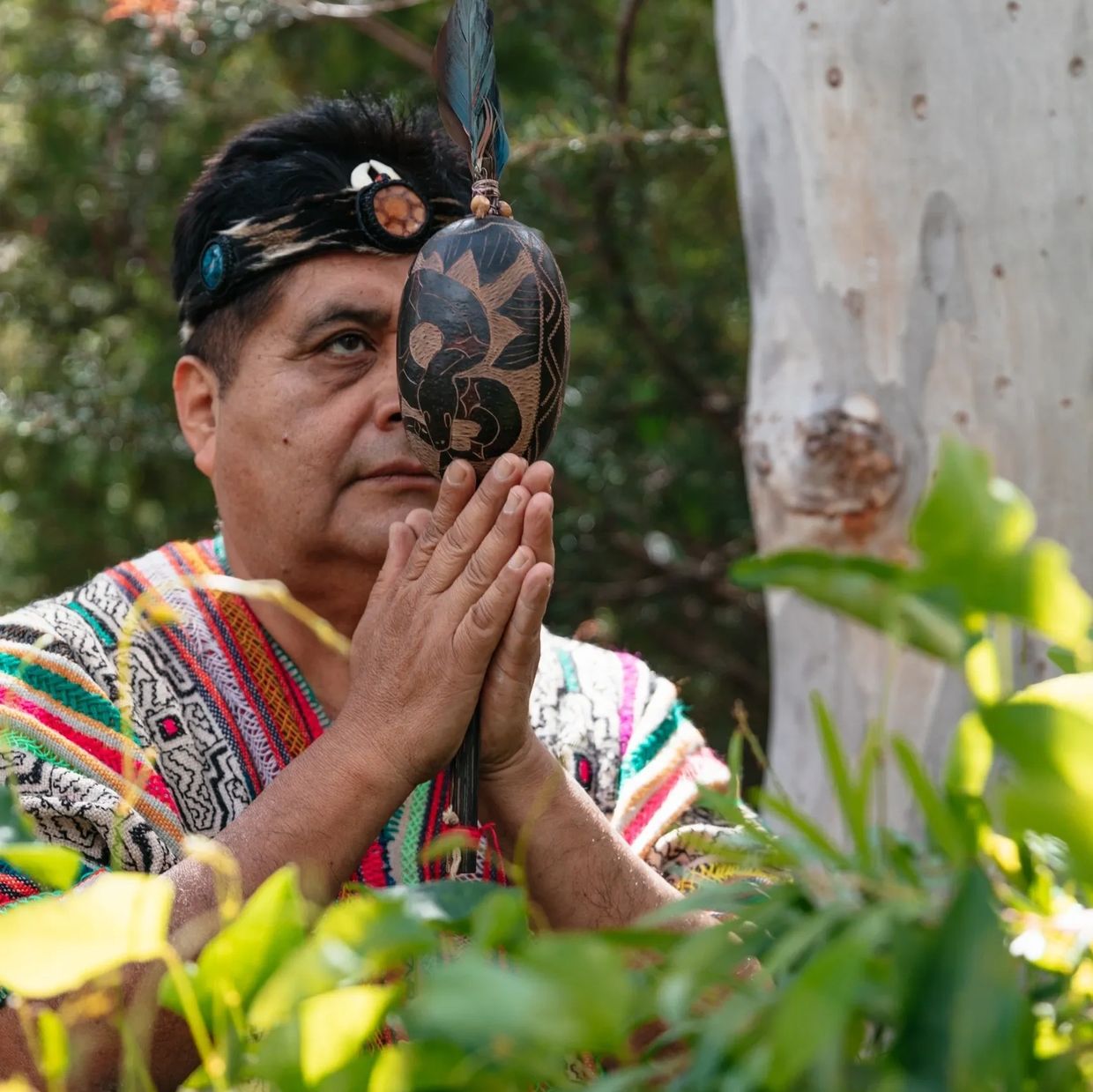 About Me | Master Carlos