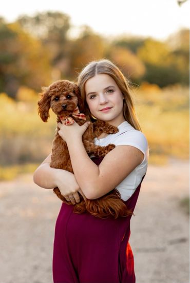 Cavapoo Puppies - Calla Lily Cavapoo