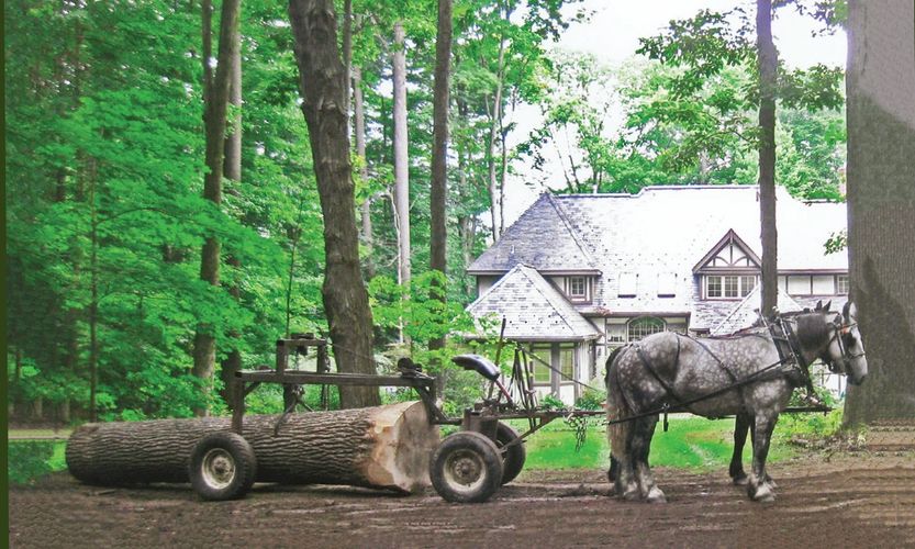 Logging Company - Fisher Logging, LLC.