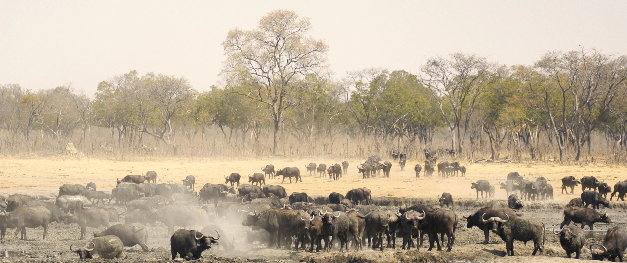 Mangwe South | Classic African Hunting