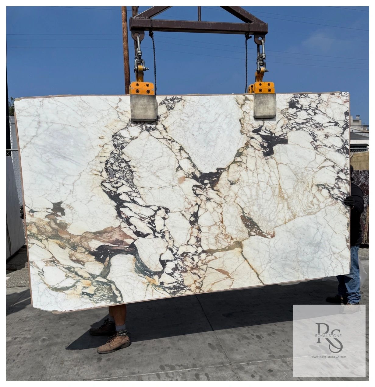 Calacatta Viola Wow Marble Slab – Select Grade, Honed by Antolini ...