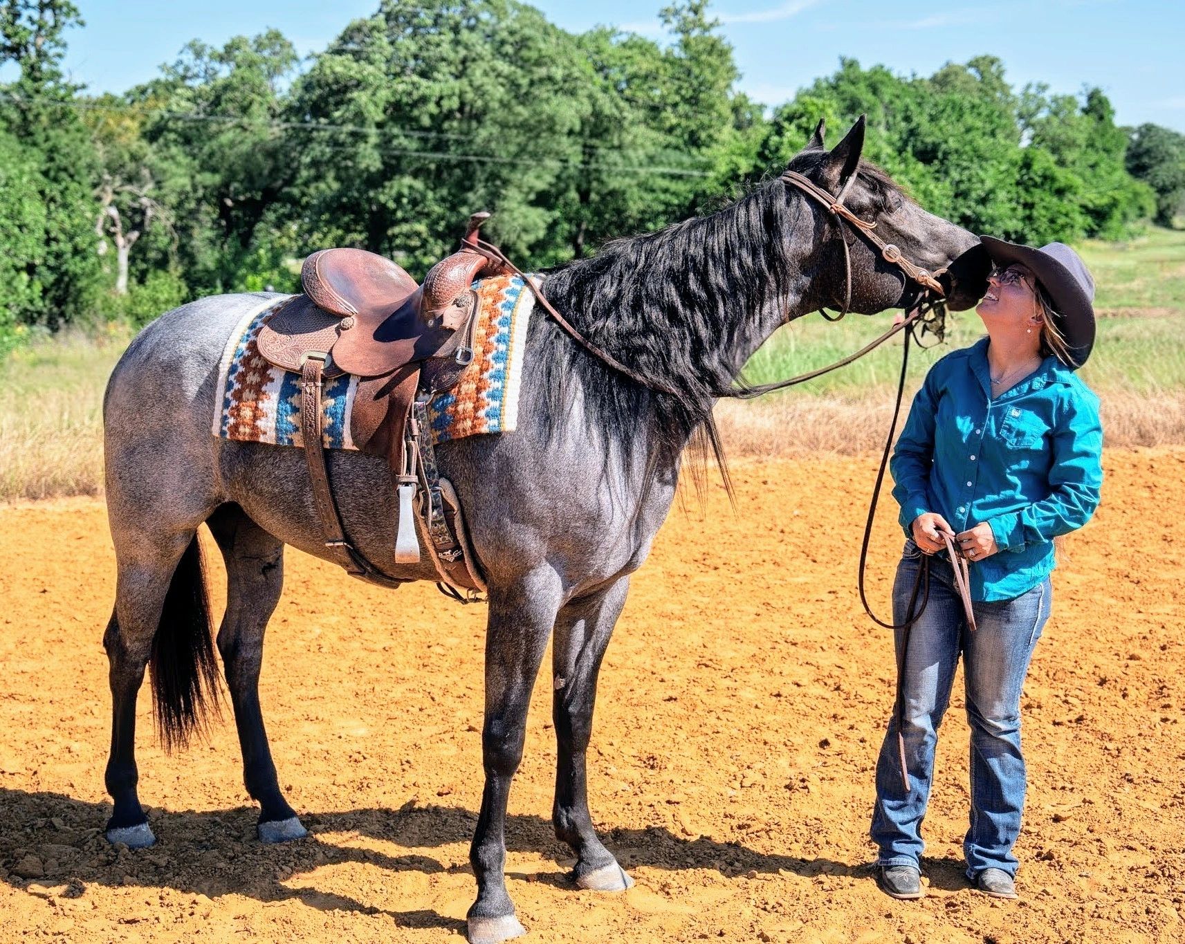 2bperformancehorses - Horse Training, Riding Lessons