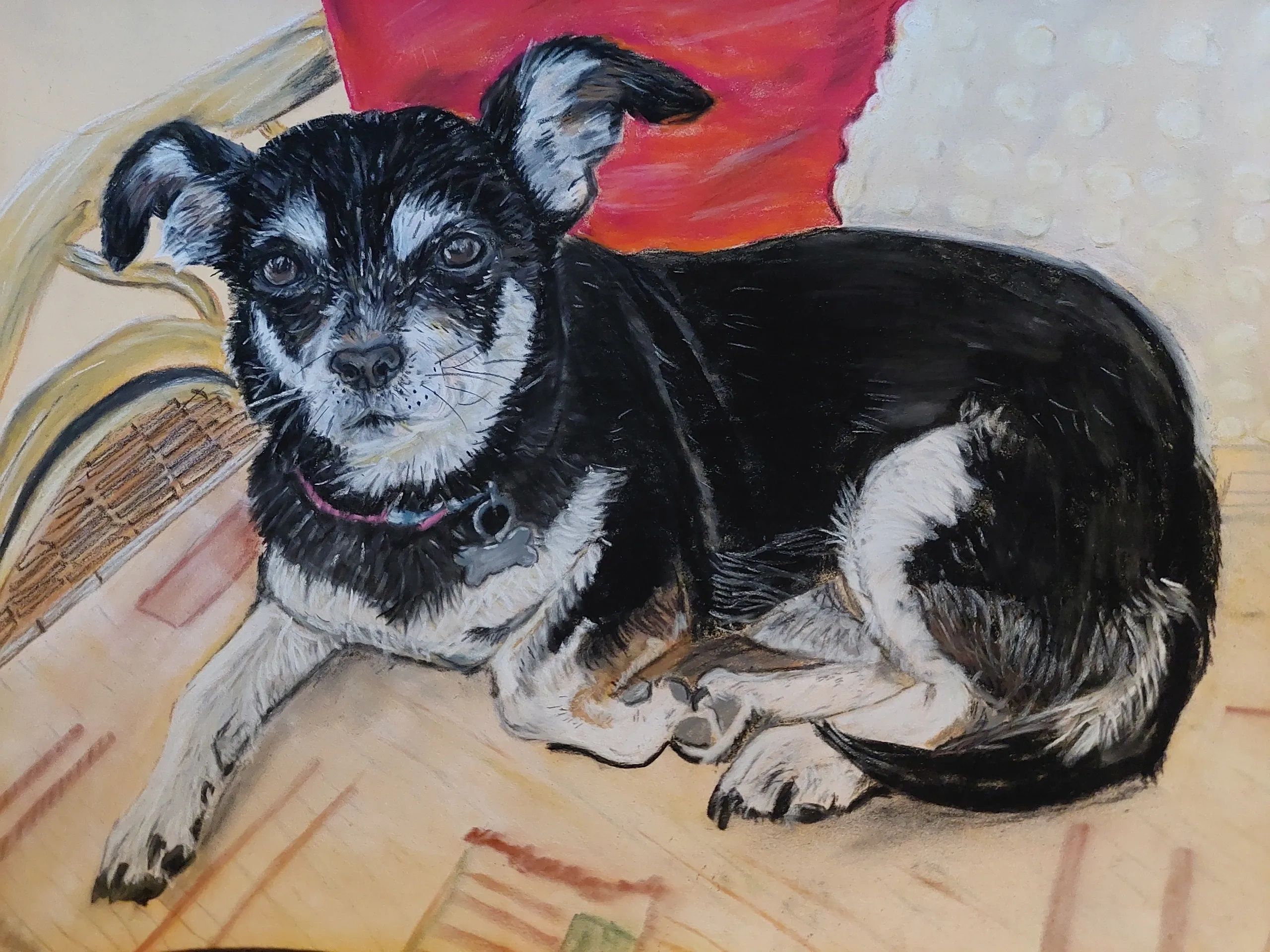 Polly's Pawtraits - Unique Animal Art