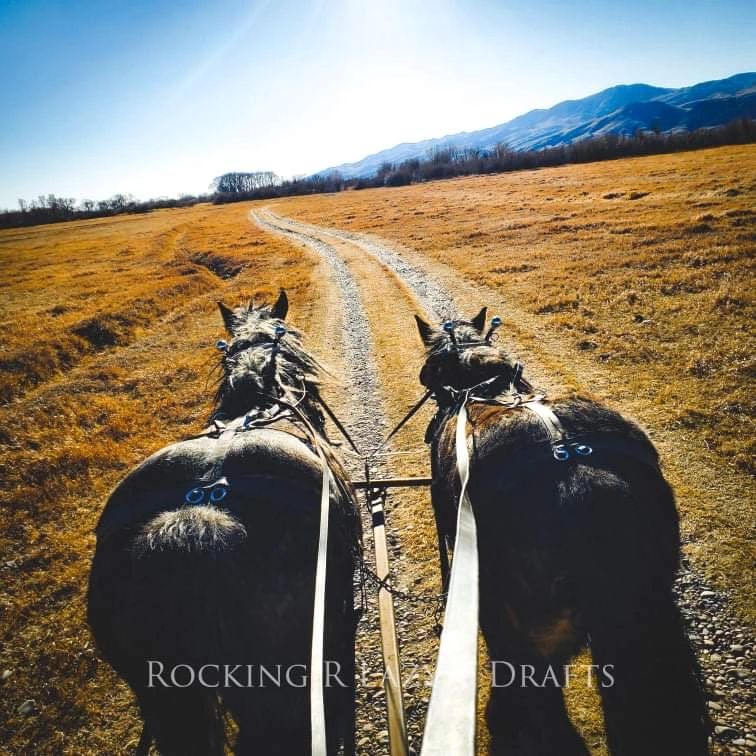 Rocking R Lazy T Drafts