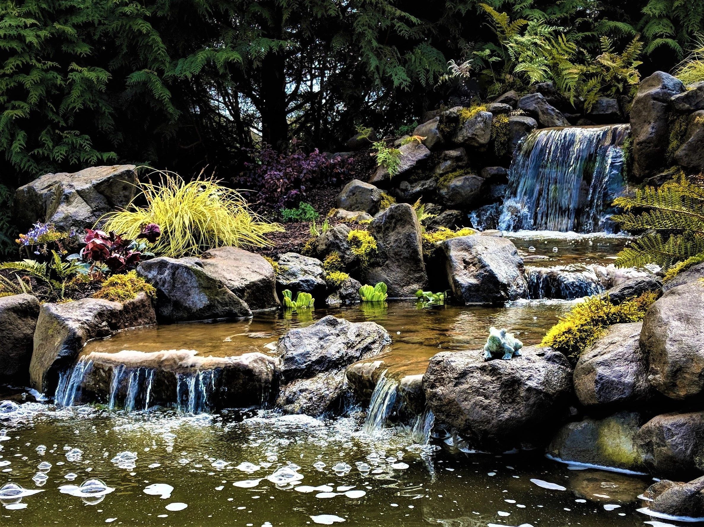 Outdoor Pond Company in Orlando | Affordable Ponds