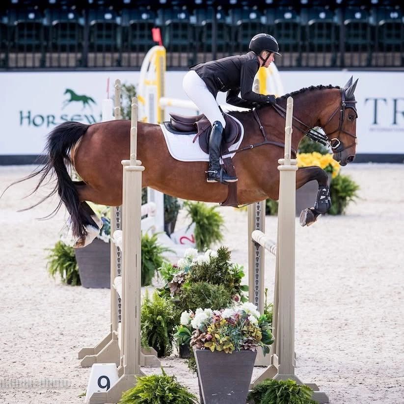 Heidi Crowell Equestrian