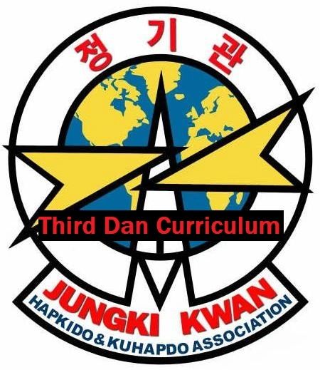 JungkI Kwan Third Dan Curriculum Review Video and Written