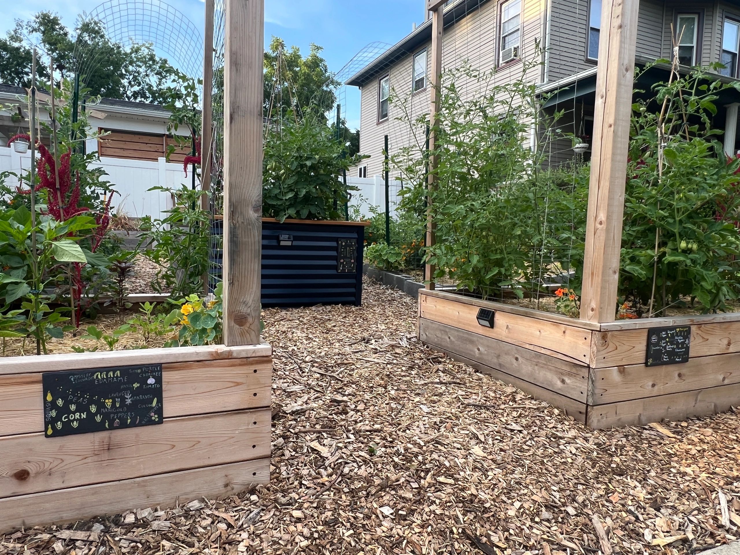 Grow Food - We Design, Build, and Help You Grow