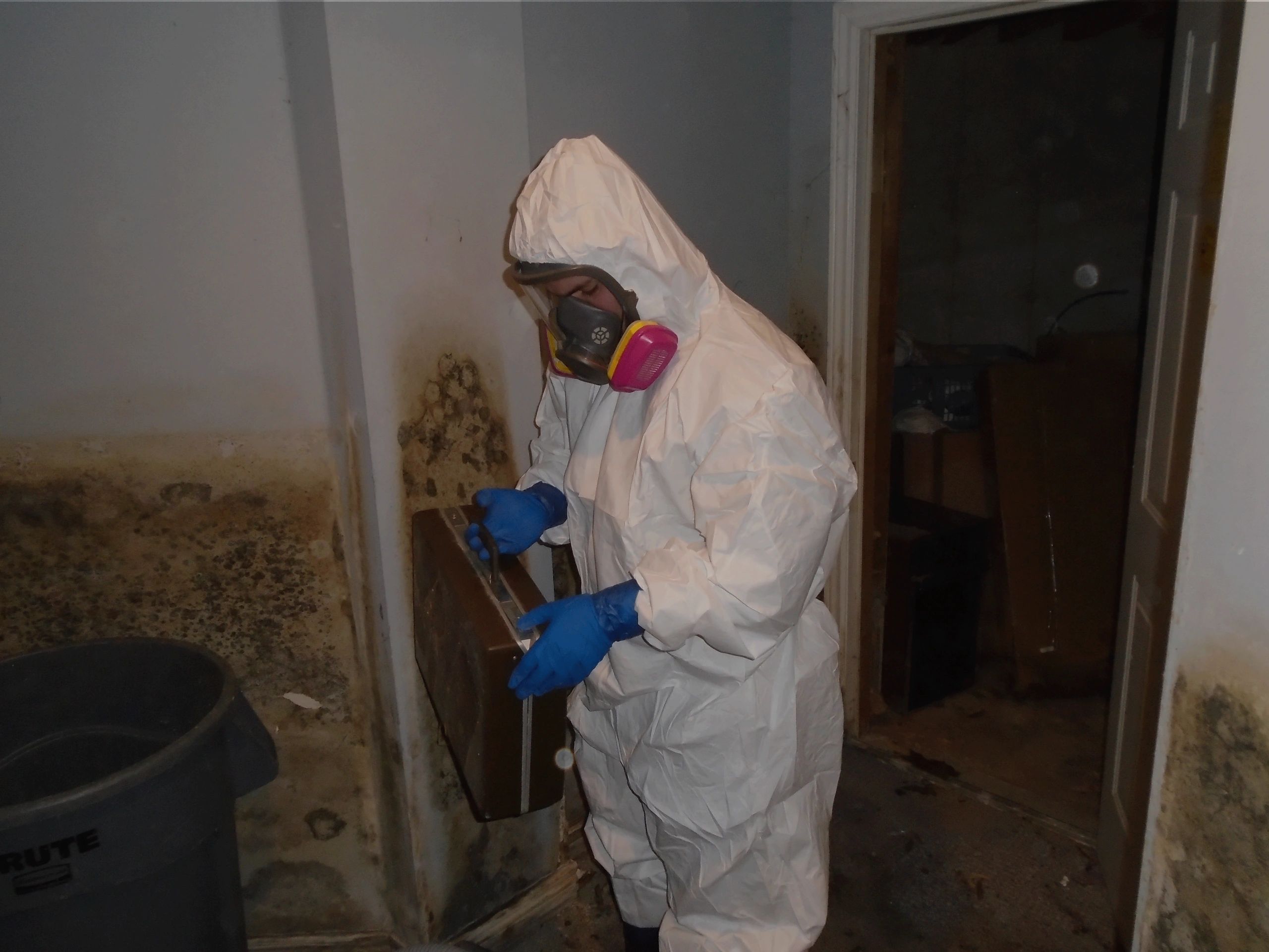 5 Signs That Mold Is Growing In Your Home