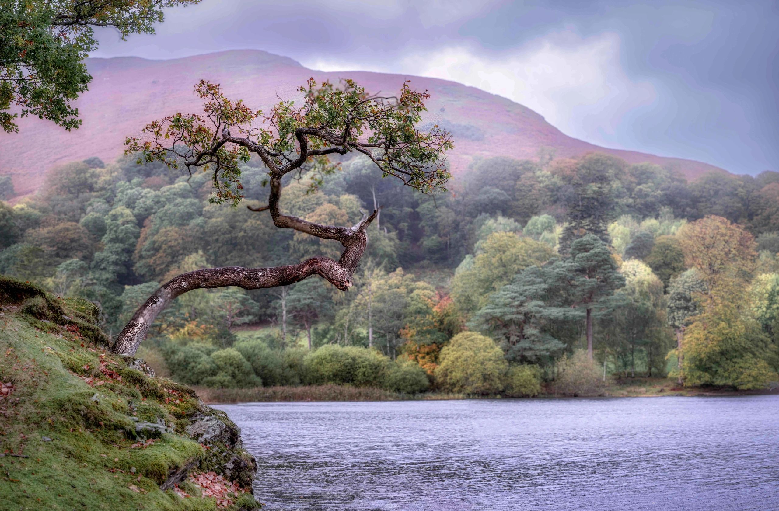 Photography Services & Workshops | Alan Platt Photography