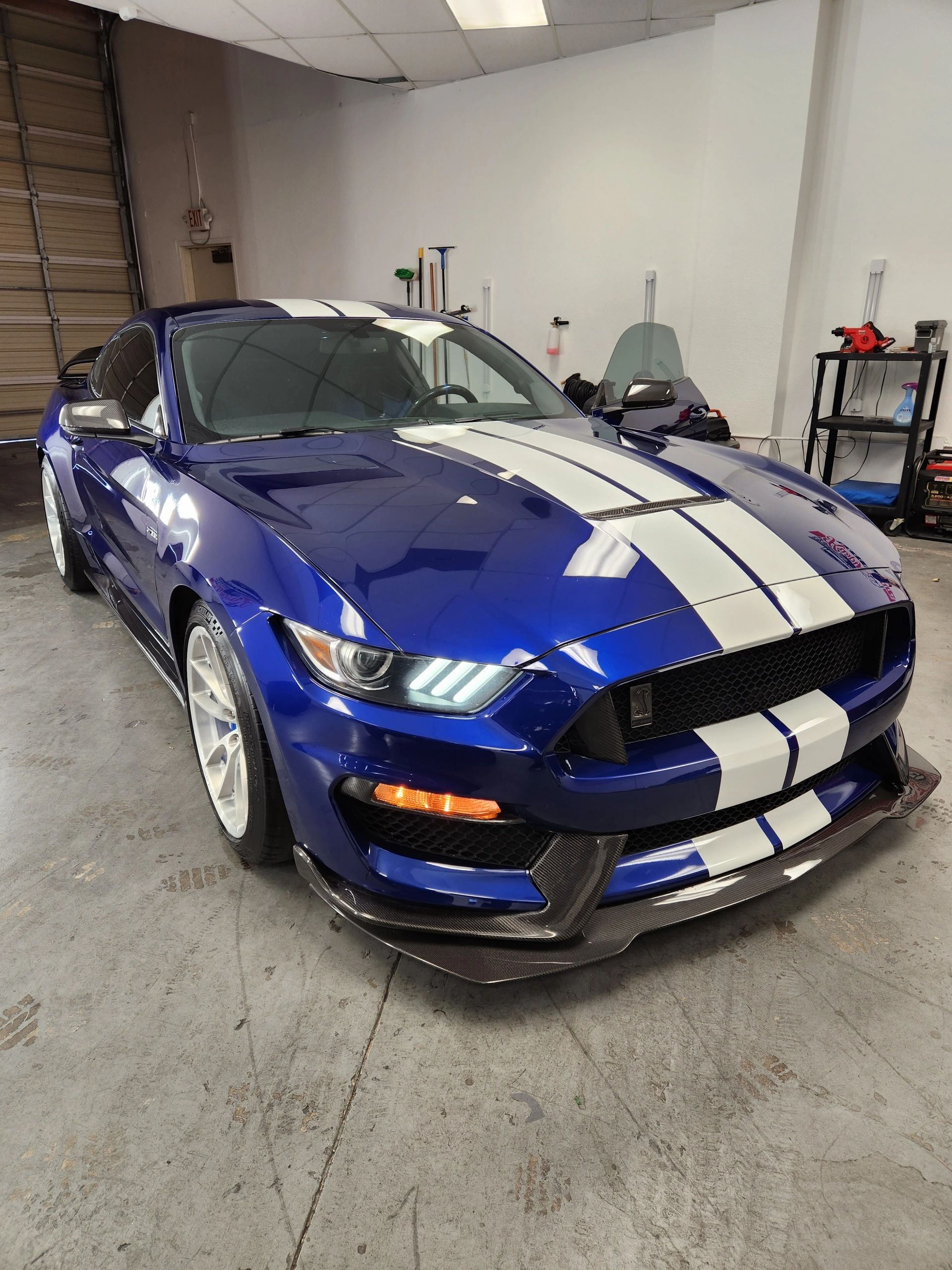 Krispy Clean Exclusive