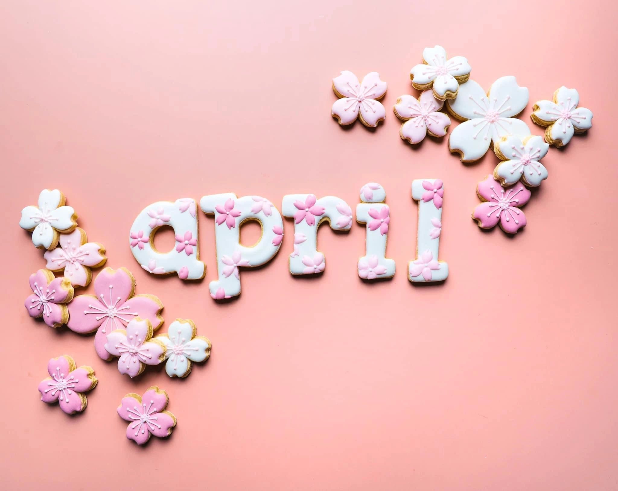 Custom Sugar Cookies