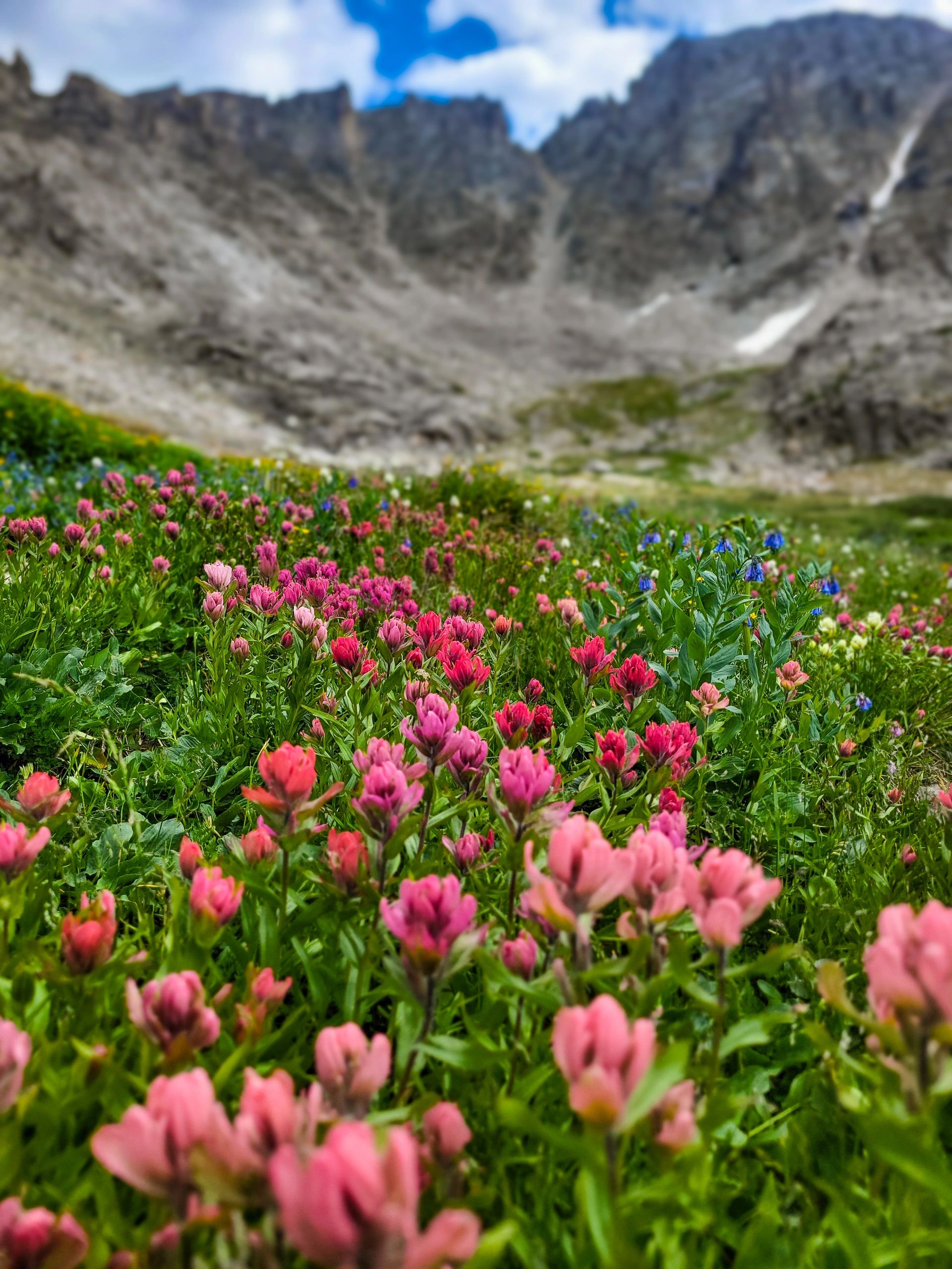 David Brehm Photography