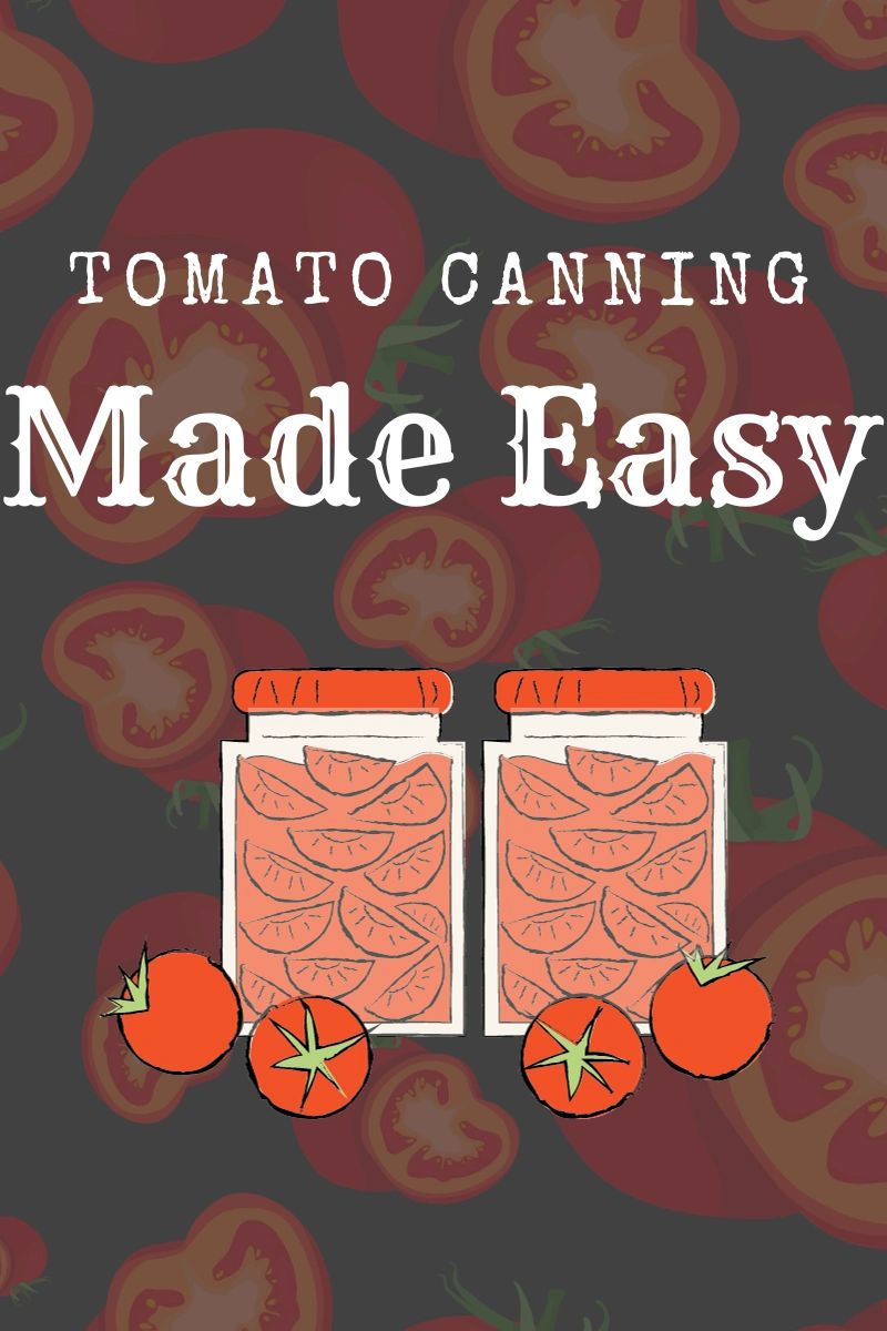 Tomato Canning Made Easy