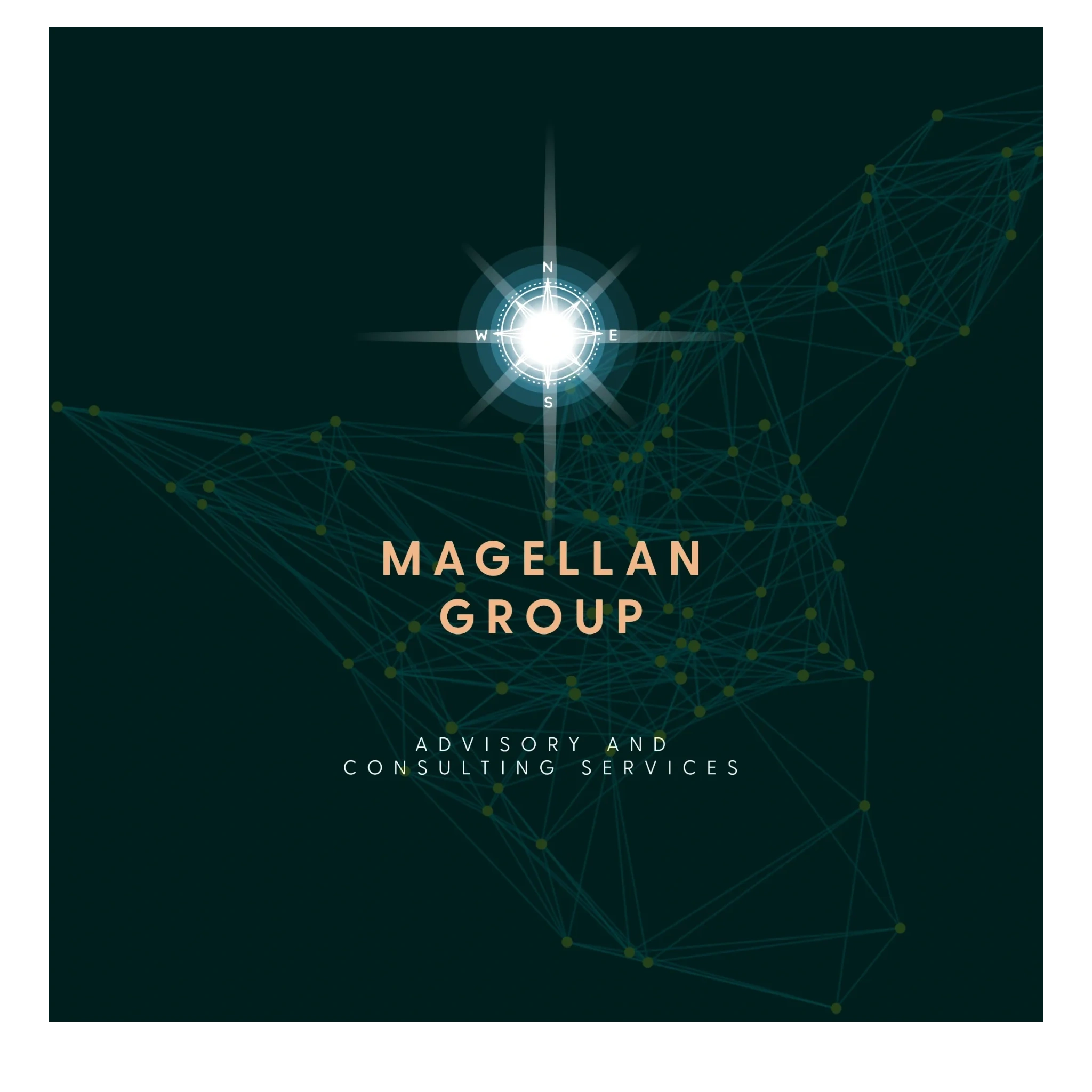 Advisory, Business and Digital transformation services| Magellan Group