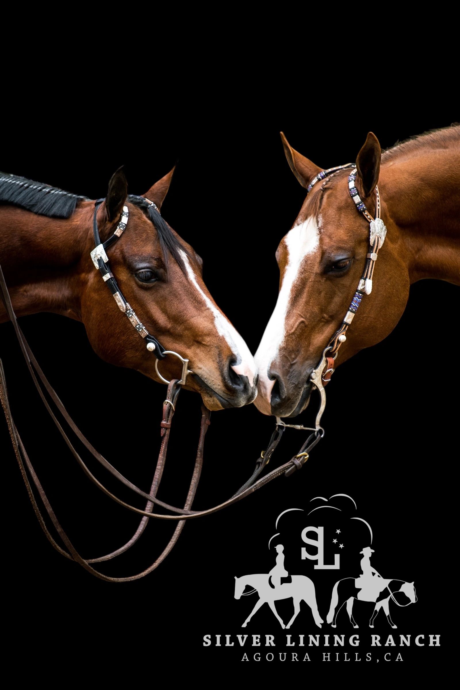 Beginner Horse Riding Lessons Near Me| Start Riding Today