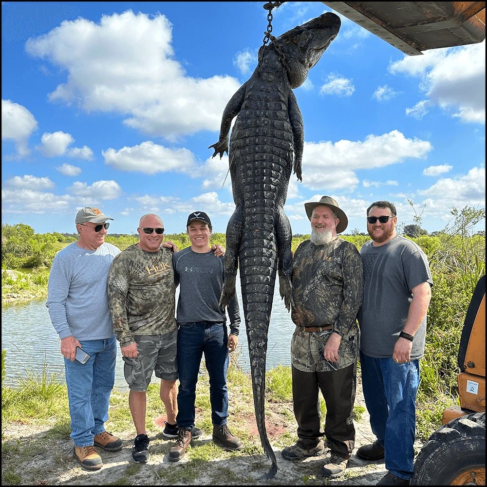 Experience Unforgettable Gator Hunts in Arcadia, Florida